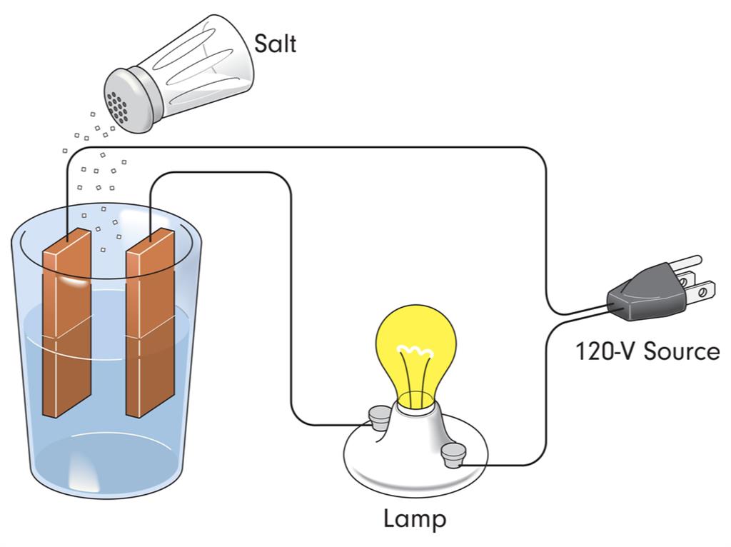Cell and its types — lesson. Science State Board, Class 7.