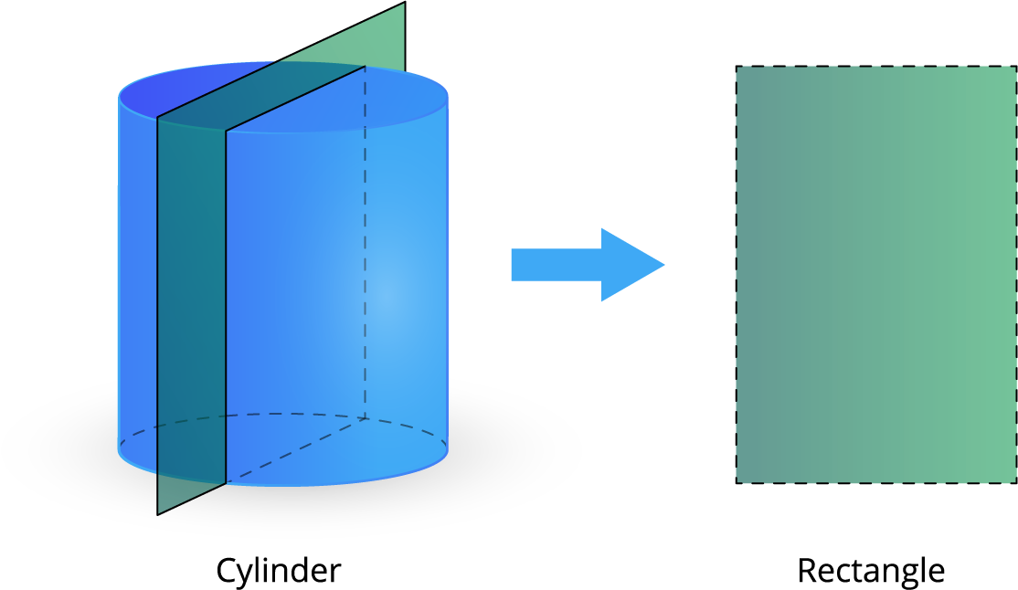 Cross section of 3D shapes — lesson. Mathematics State Board, Class 8.