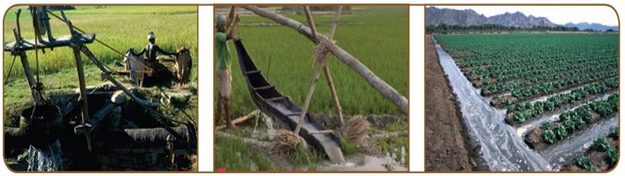 Irrigation — lesson. Science State Board, Class 8.