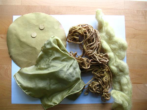 Fibre yielding plants — lesson. Science State Board, Class 6.