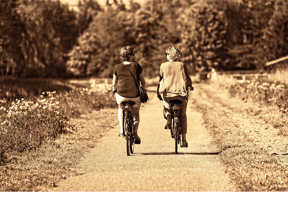 Motion and its types — lesson. Science CBSE, Class 6.