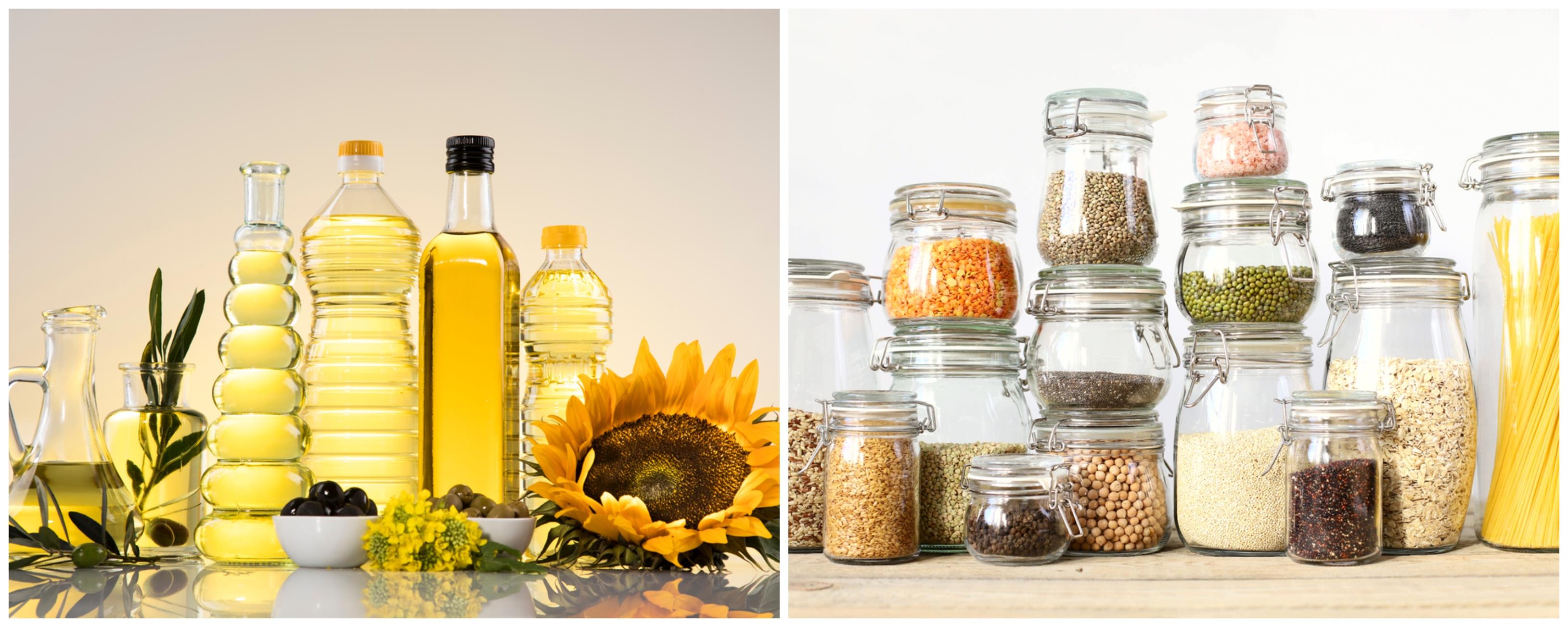 Transparency — lesson. Science CBSE, Class 6.