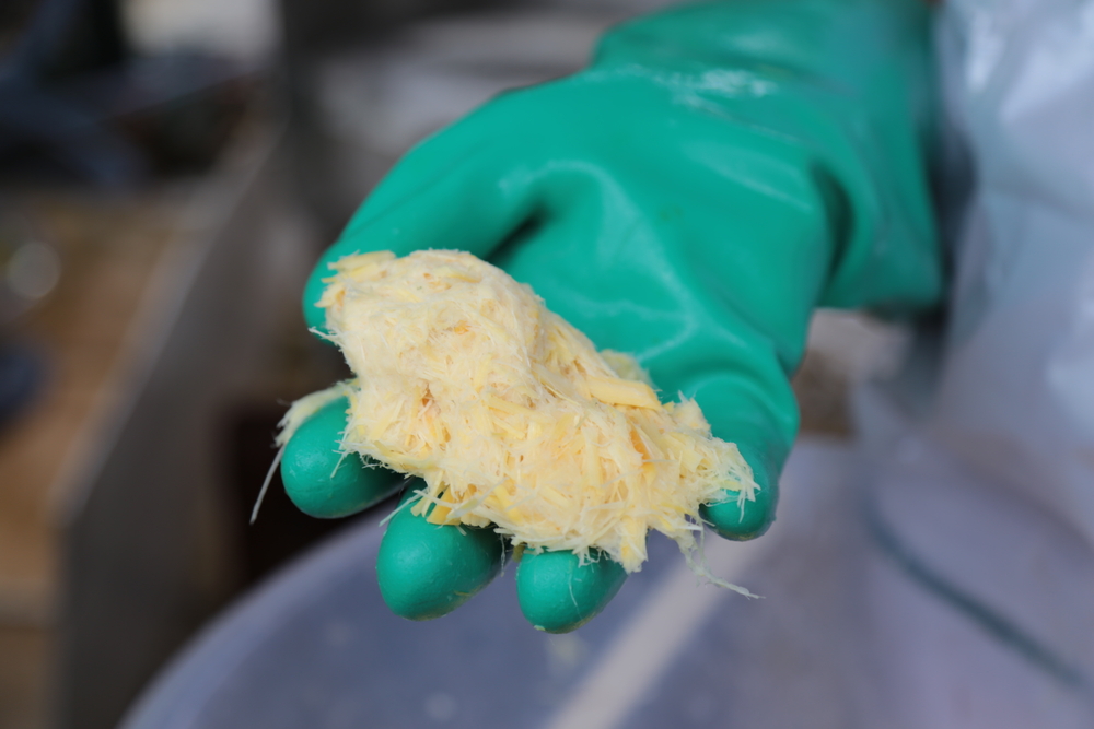 Rayon - A semi-synthetic fibre — lesson. Science State Board, Class 7.