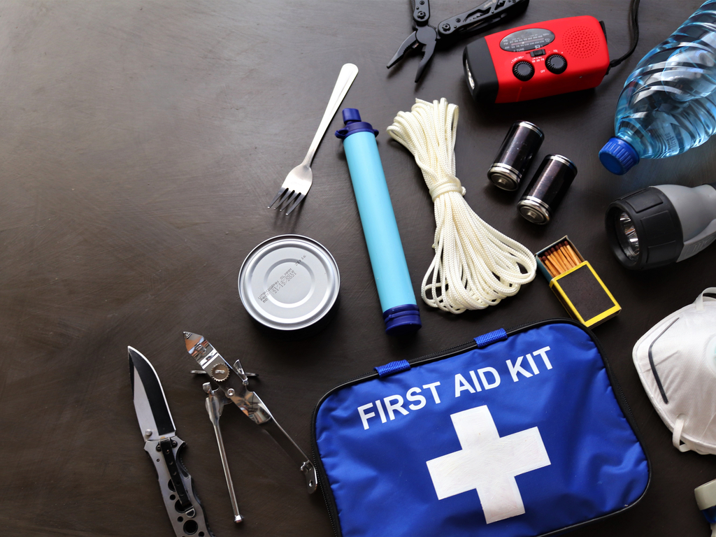 Flood management — lesson. Social Science, Class 6.