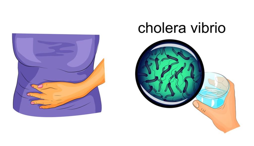 Cholera and typhoid fever — lesson. Science State Board, Class 7.
