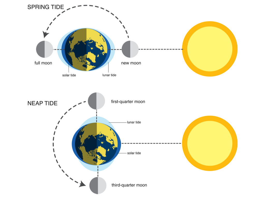 Waves and Tides — lesson. Social Science, Class 9.