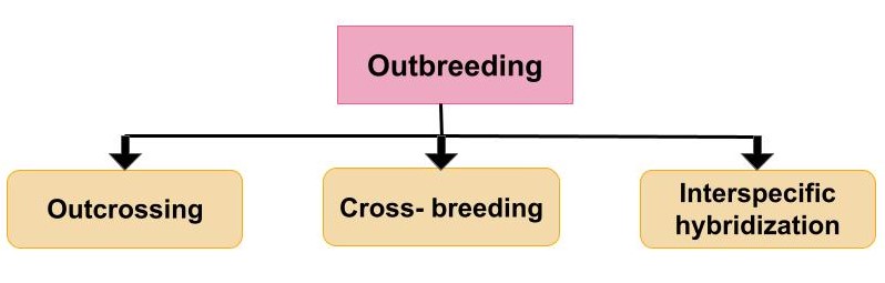 Outbreeding and heterosis — lesson. Science State Board, Class 10.