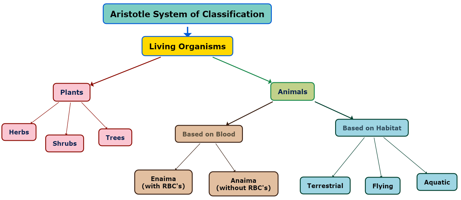Biological Classification and Dichotomous key — lesson. Science State ...