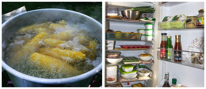 Preservation of food from microorganisms — lesson. Science CBSE, Class 8.