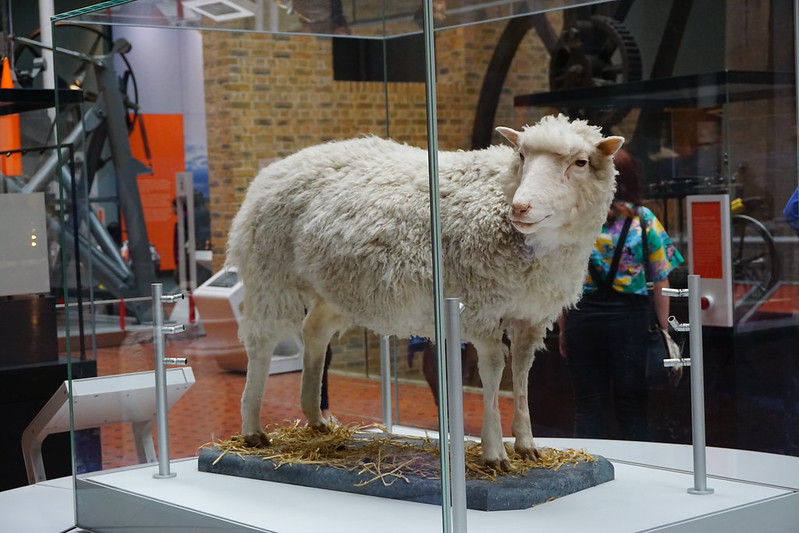 Cloning — lesson. Science CBSE, Class 8.