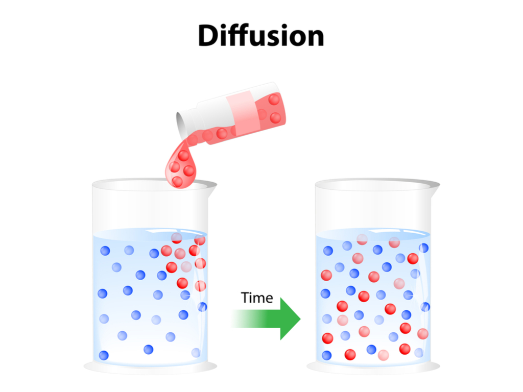Transport across membrane — lesson. Science CBSE, Class 9.