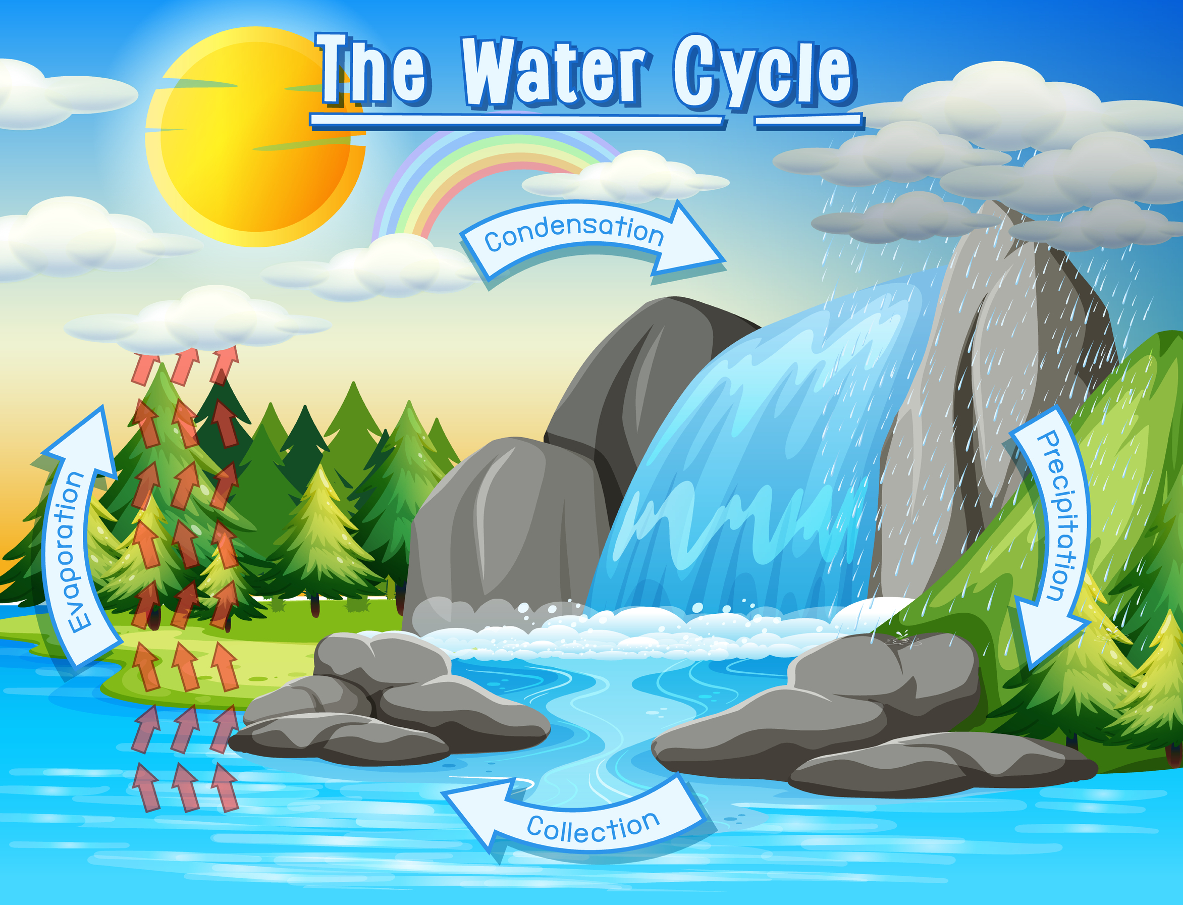 The process of water cycle — lesson. Science CBSE, Class 6.