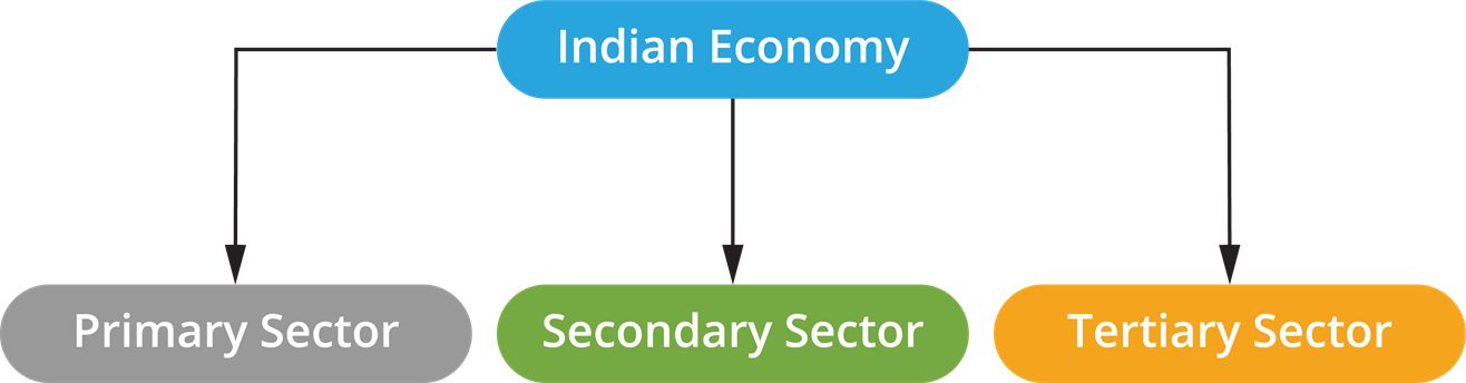 Sectors of Indian Economy — lesson. Social Science, Class 6.