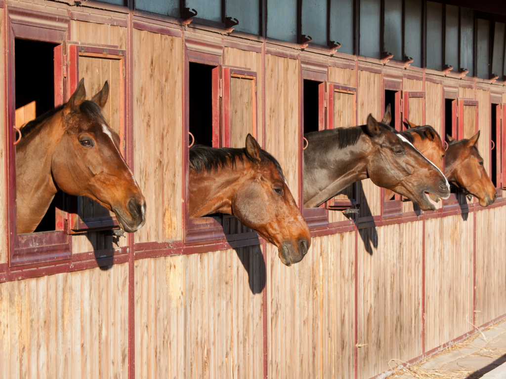 Paragraph 1 — lesson. English Language CBSE, Class 7.