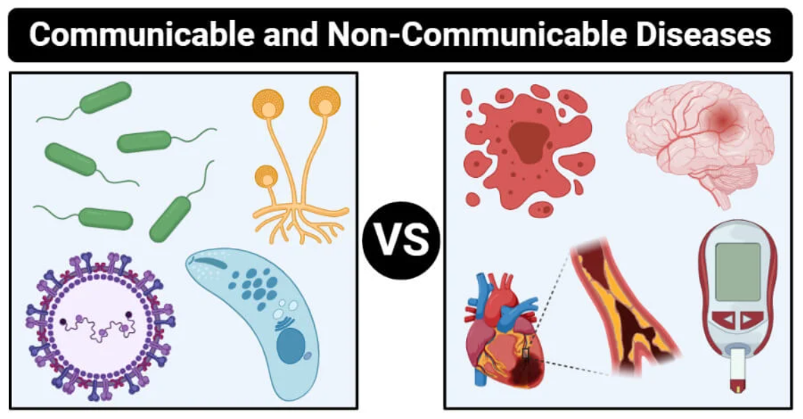 Types of diseases — lesson. Science State Board, Class 7.