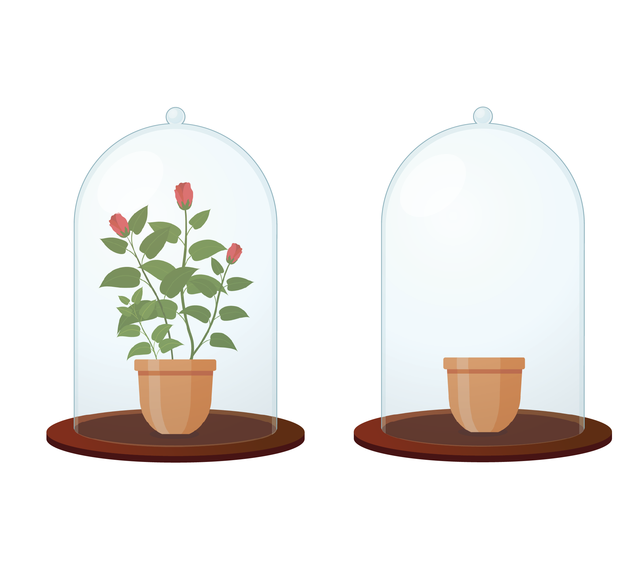 An activity to demonstrate transpirational pull — lesson. Science CBSE ...