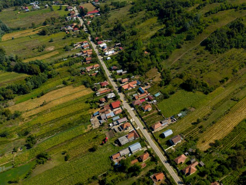 Rural Settlements — lesson. Social Science, Class 7.