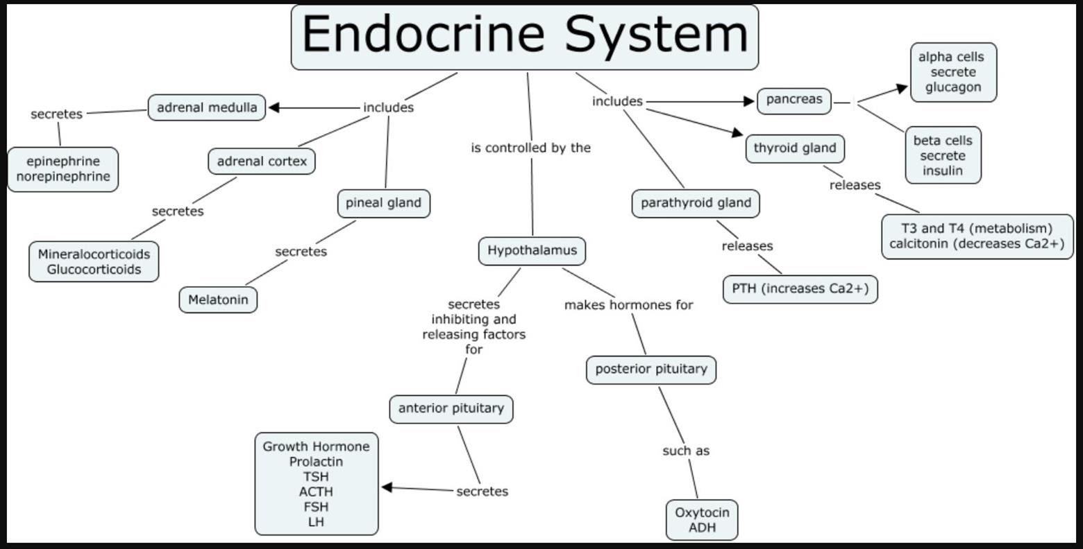 Mindmap — lesson. Science CBSE, Class 10.