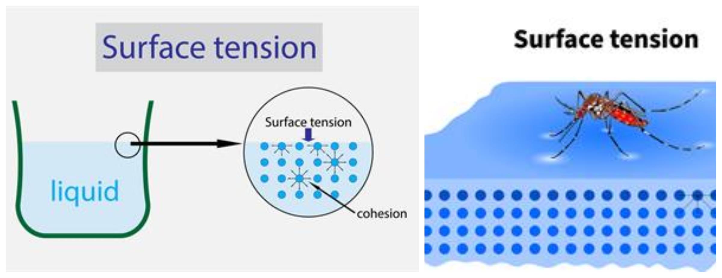 Soap and Detergents — lesson. Science State Board, Class 6.