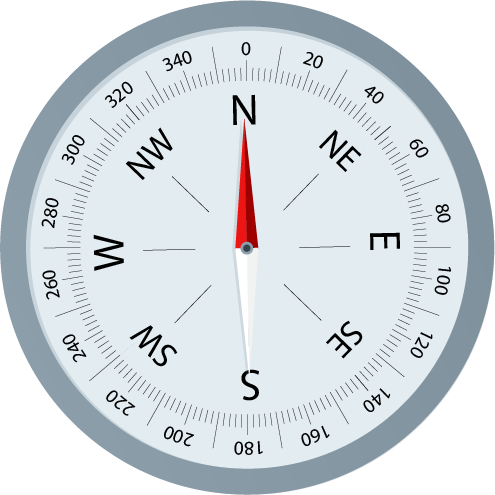 NCERT Exemplar XVI — task. Science CBSE, Class 6.