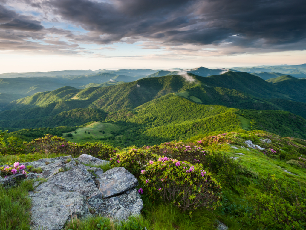 Appalachian Highlands and Coastal Plains — lesson. Social Science, Class 7.