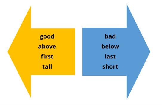 Antonyms — lesson. English Language CBSE, Class 10.