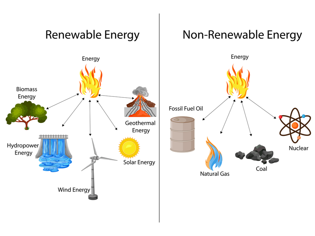 Sustainable development — lesson. Social Science, Class 9.