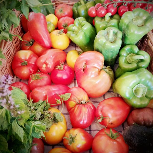 Methods of separation-I — lesson. Science CBSE, Class 6.