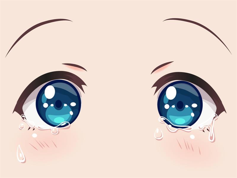 Explanation of the lesson "Bholi" — lesson. English Language CBSE ...