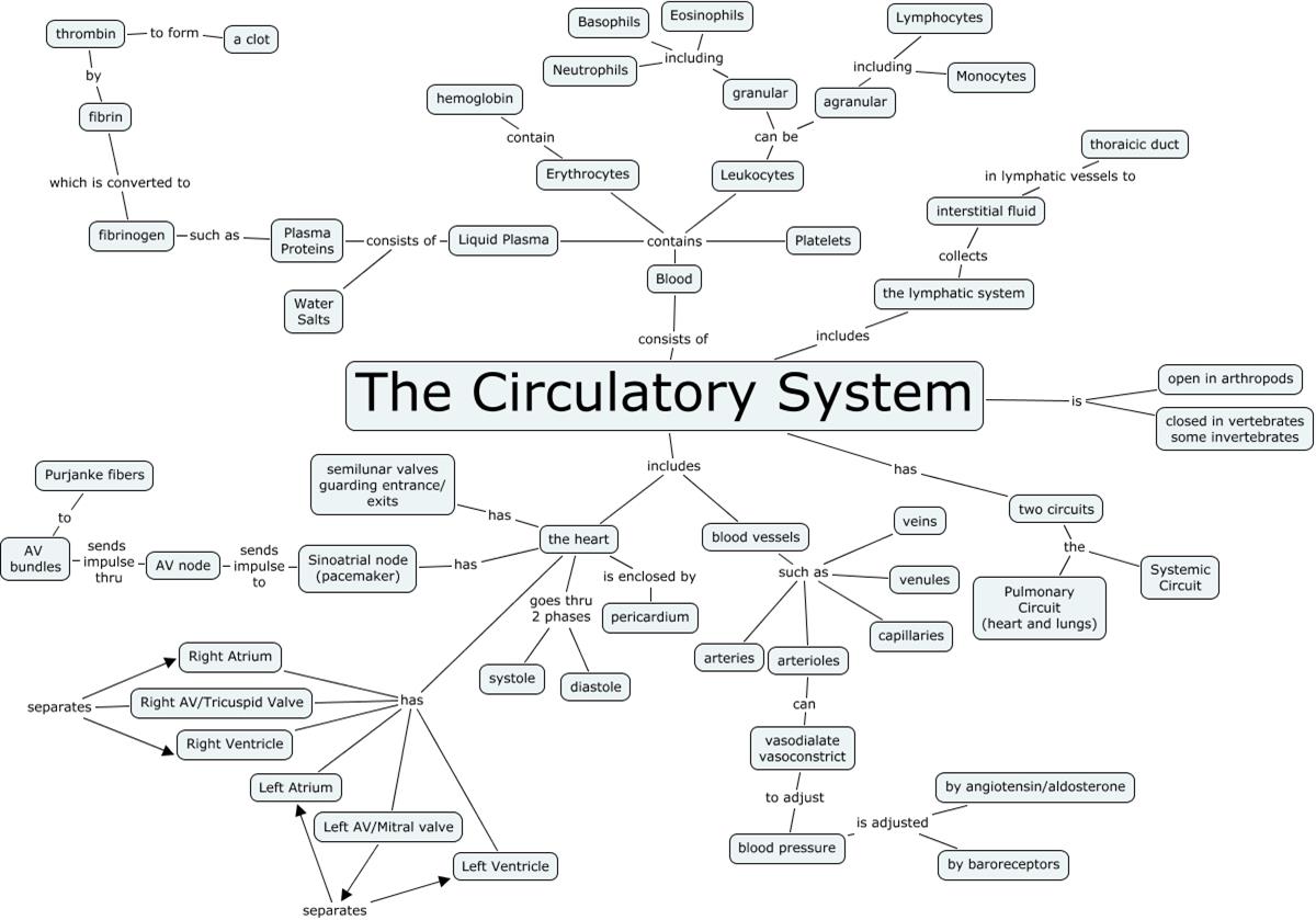Mindmap — lesson. Science State Board, Class 10.