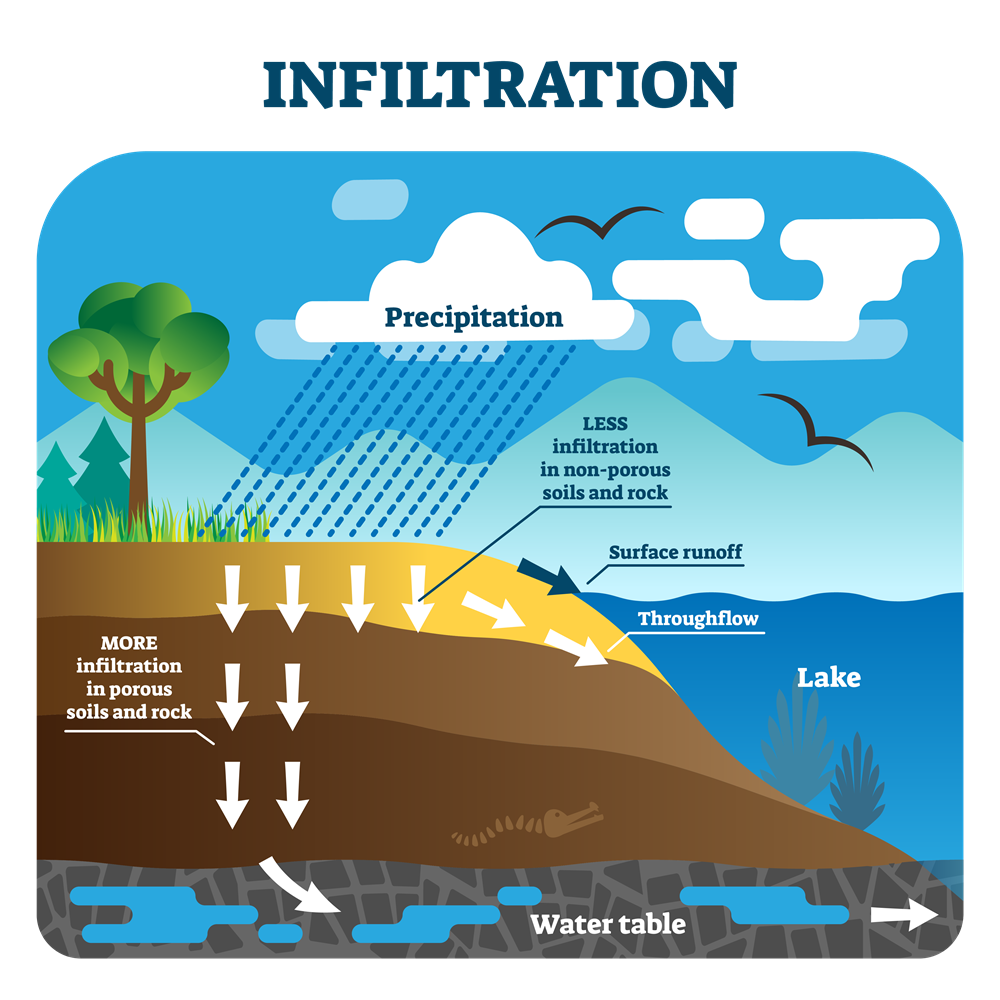 Infiltration and Percolation — lesson. Social Science, Class 8.