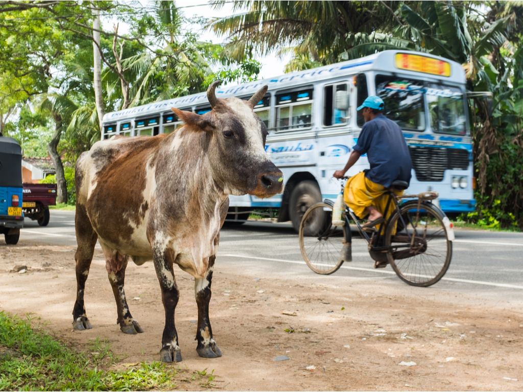 Explanation of Part - III, Paragraphs 3-6 — lesson. English Language ...