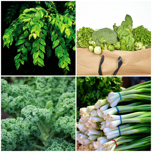 Plants used as food — lesson. Science State Board, Class 6.