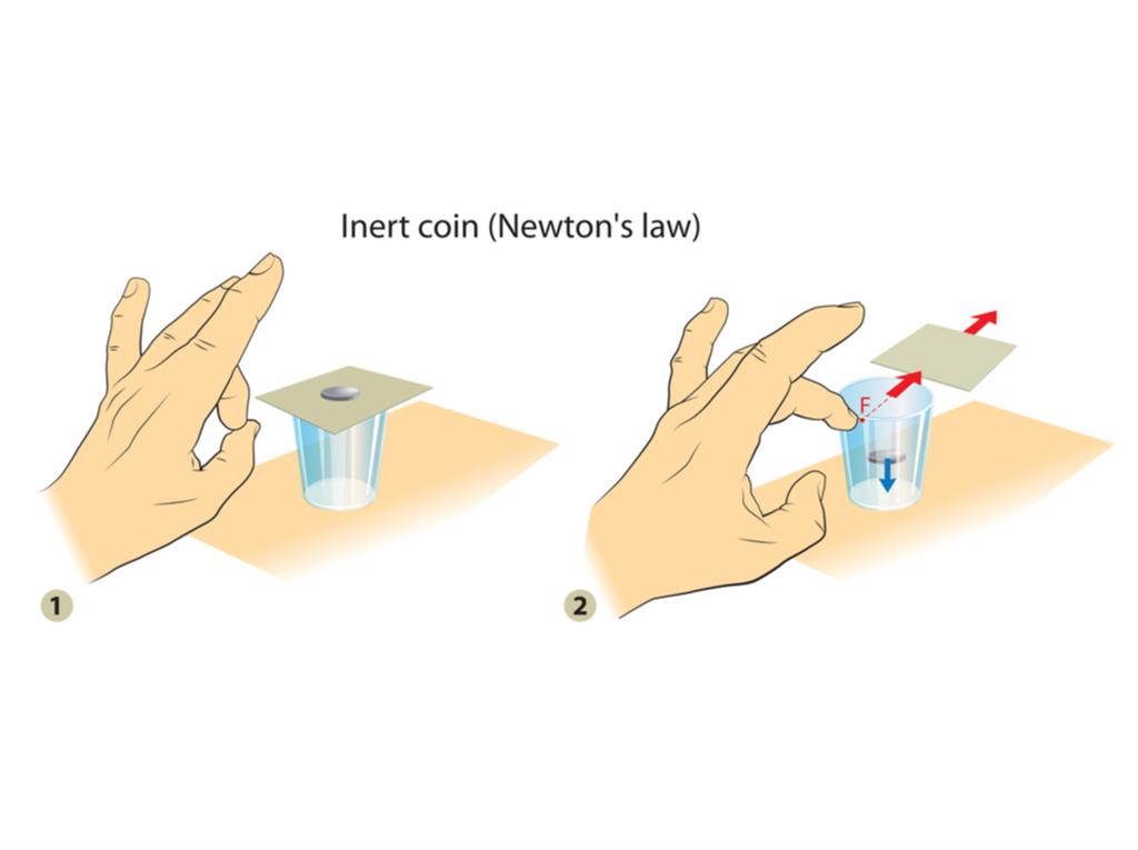 Activity to understand inertia — lesson. Science State Board, Class 10.