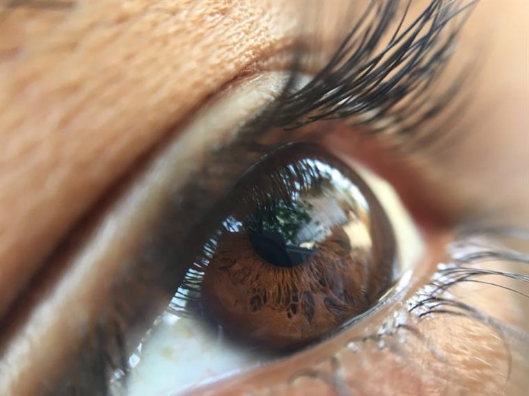 The importance of eye — lesson. Science State Board, Class 7.