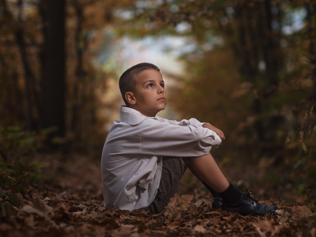 Summary — lesson. English Language CBSE, Class 8.