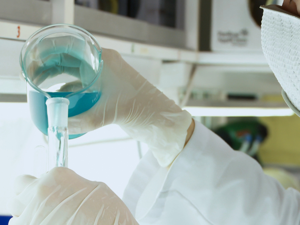 Natural indicators — lesson. Science CBSE, Class 7.