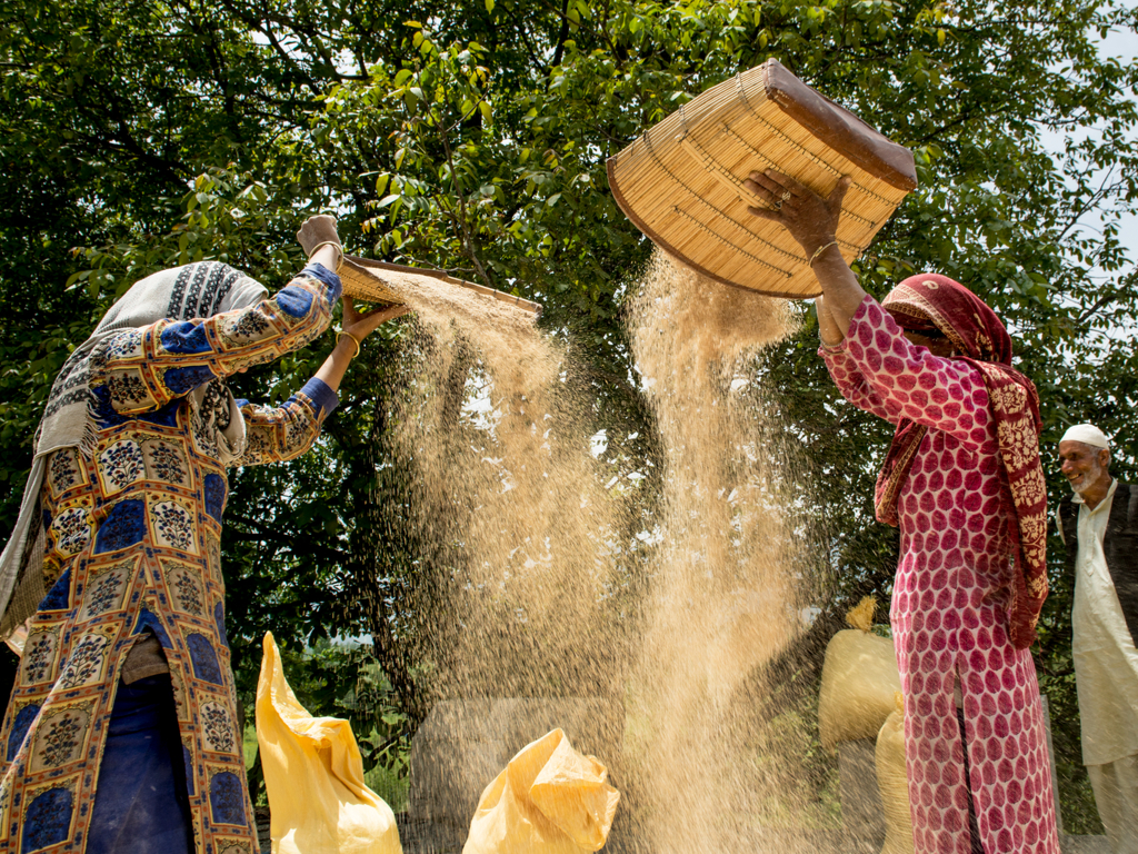 Separation method-II — lesson. Science State Board, Class 6.