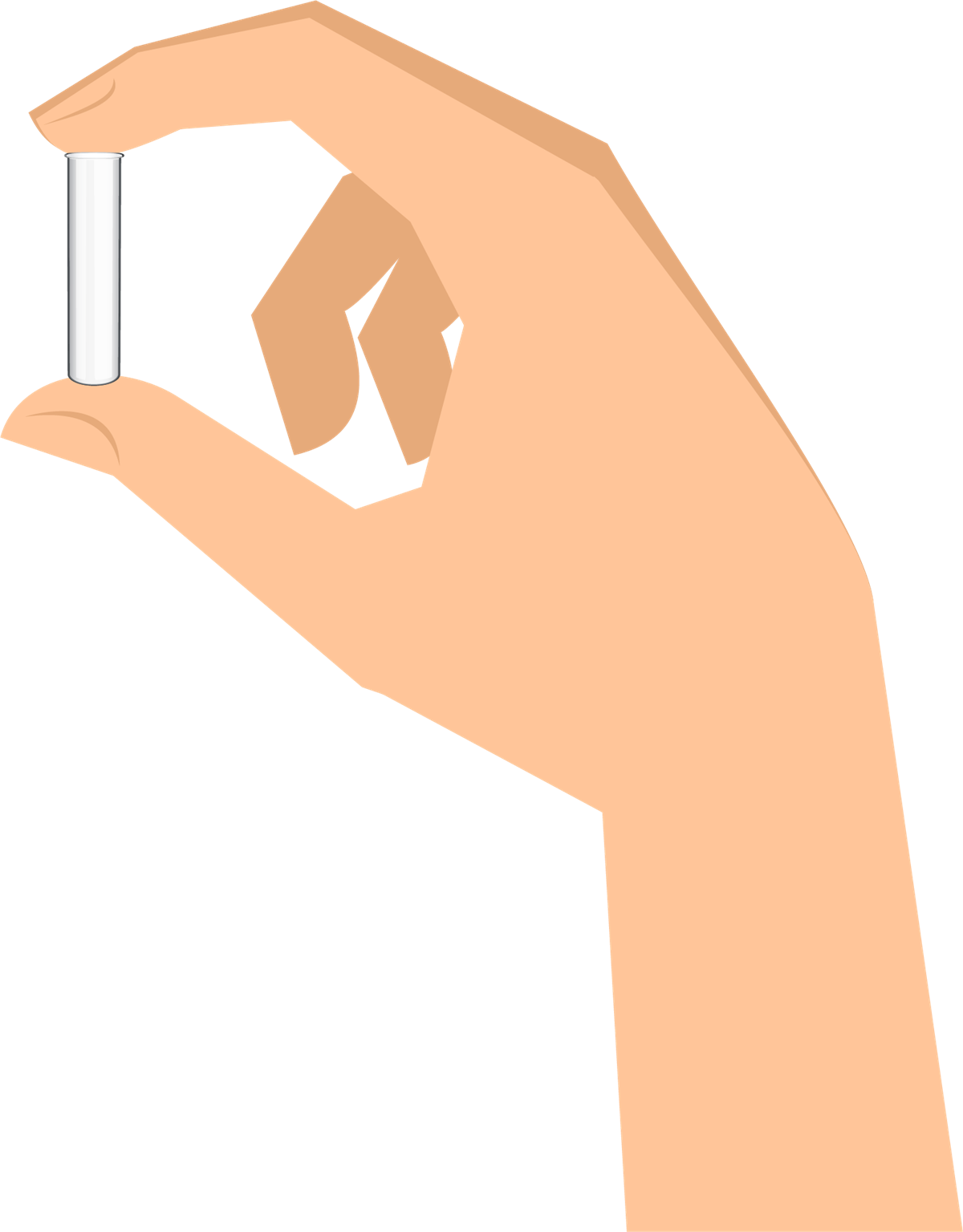 Hardness — lesson. Science CBSE, Class 6.