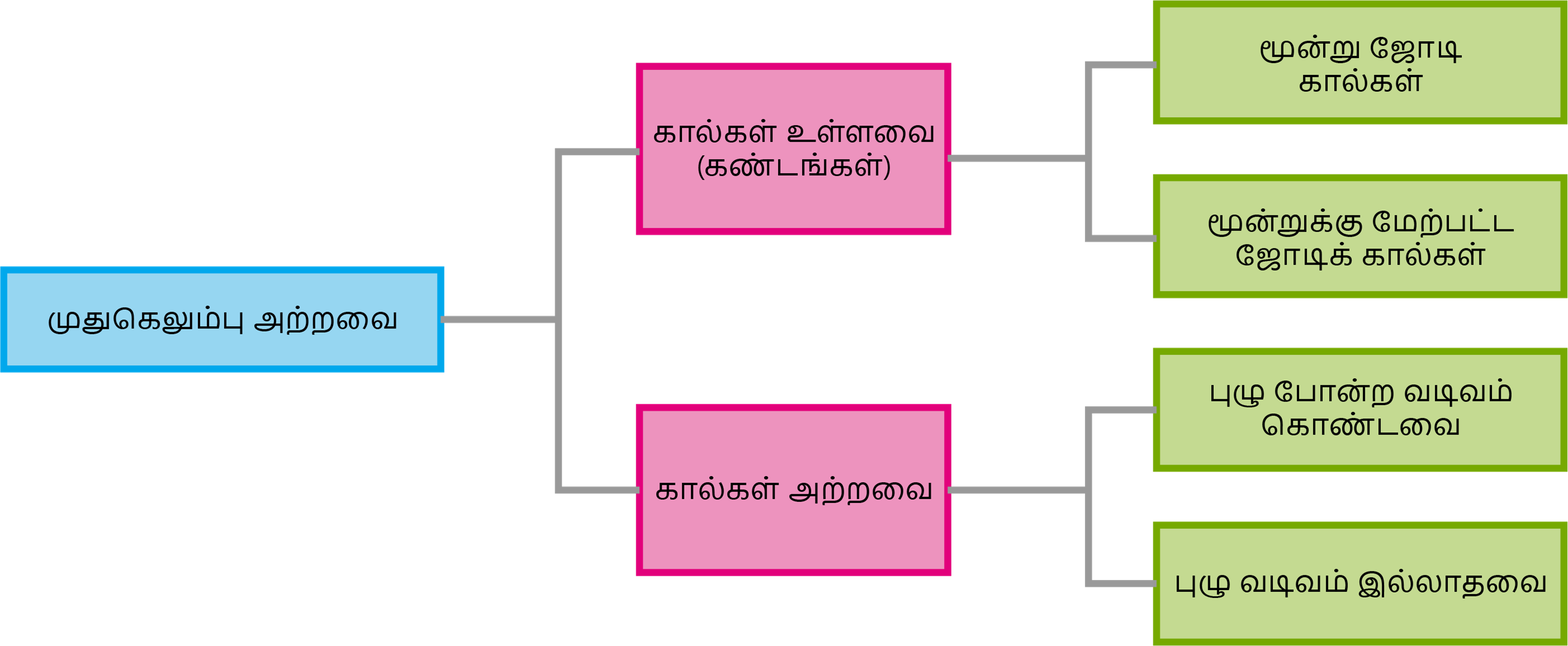 முதுகெலும்பற்றவை - டினோபோரா வரை — lesson. அறிவியல், Class 7.