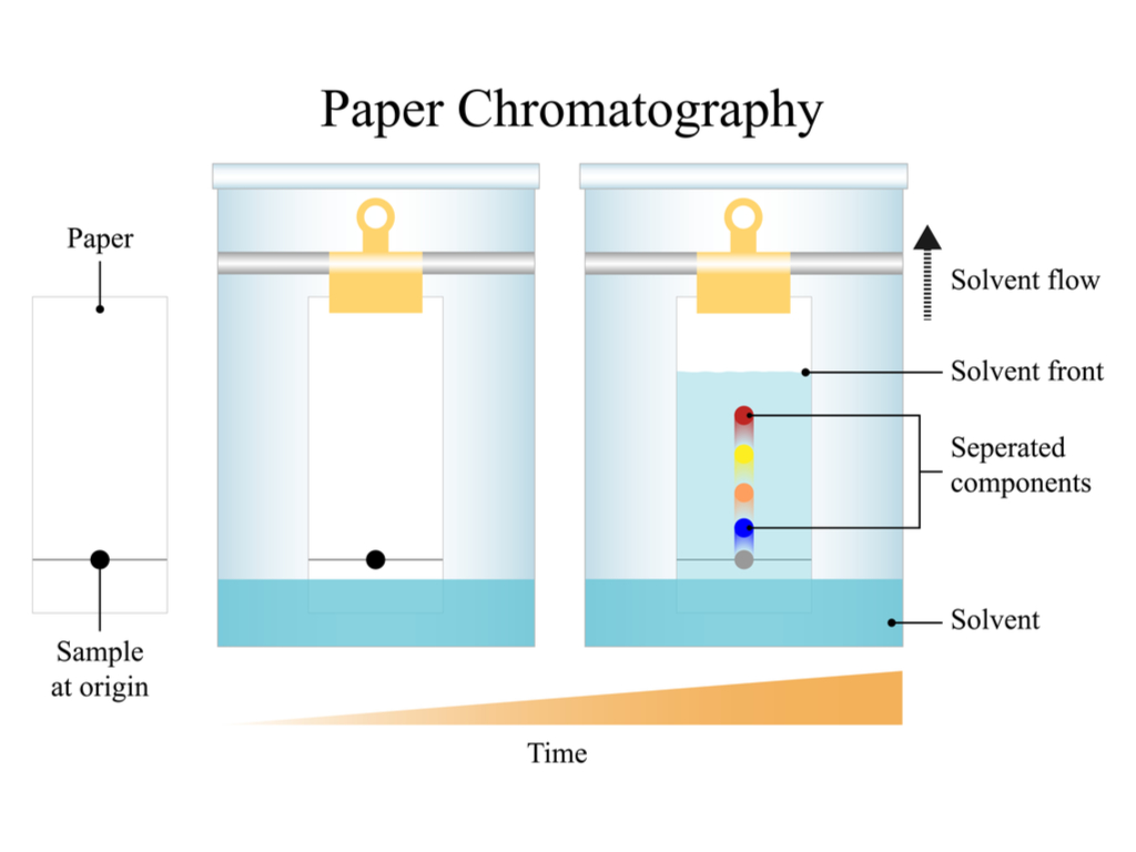 Paper Chromatography Lesson Science State Board Class 9 