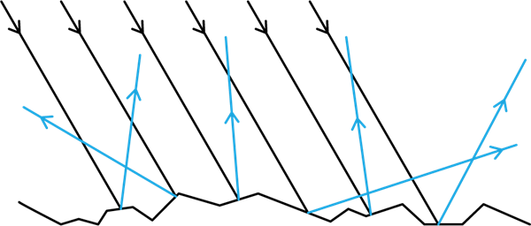 Activity IV — task. Science CBSE, Class 8.