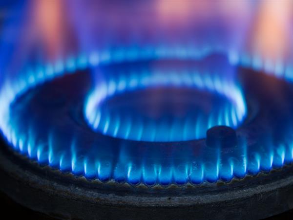 Types of Combustion — lesson. Science CBSE, Class 8.