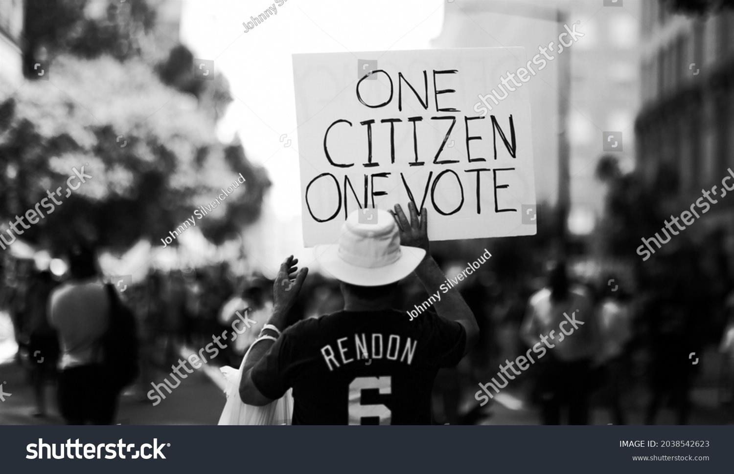 Aim of the Democracy — lesson. Social Science, Class 6.