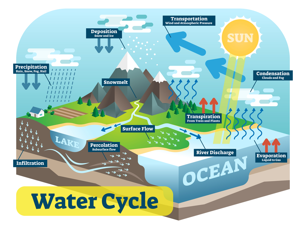 Water cycle — lesson. Science State Board, Class 9.