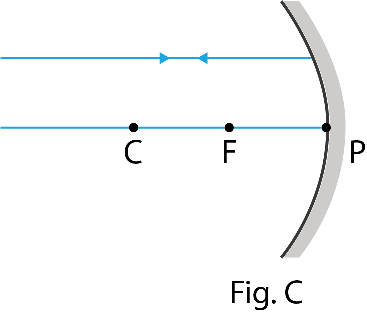 NCERT Exemplar XIII — task. Science CBSE, Class 10.