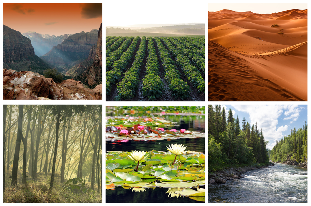 Introduction — lesson. Science State Board, Class 6.