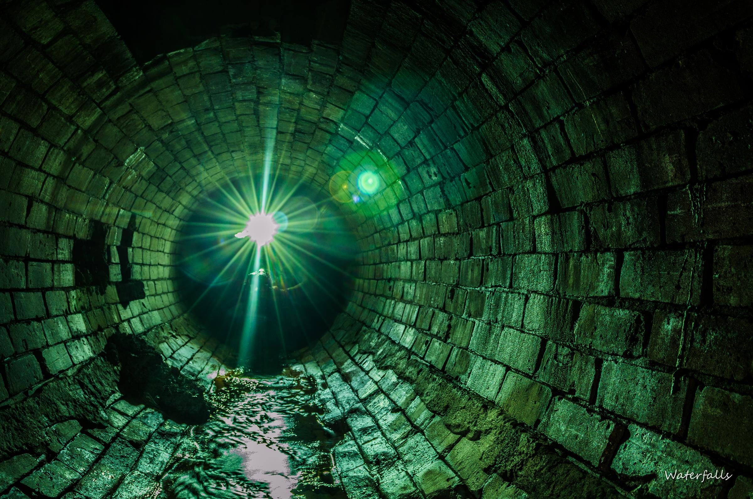 Introduction — lesson. Science CBSE, Class 10.