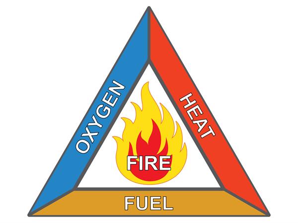 Paragraph 3 — lesson. English Language CBSE, Class 7.