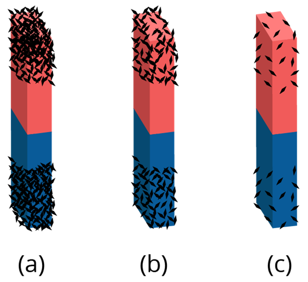 NCERT Exemplar III — task. Science CBSE, Class 6.